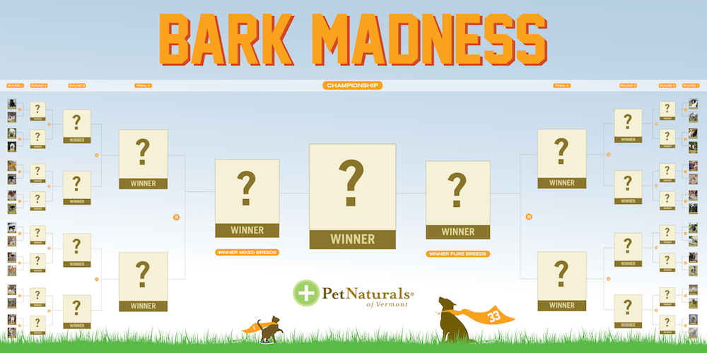 Get Ready for Bark Madness! – Pet Naturals Blog