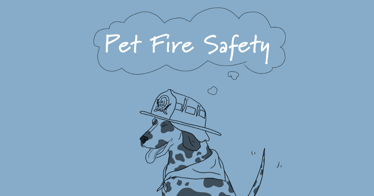 Pet Fire Safety Tips – Pet Naturals Blog